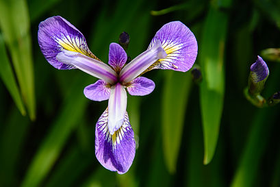 Paul Jackson - Studio Potter - News